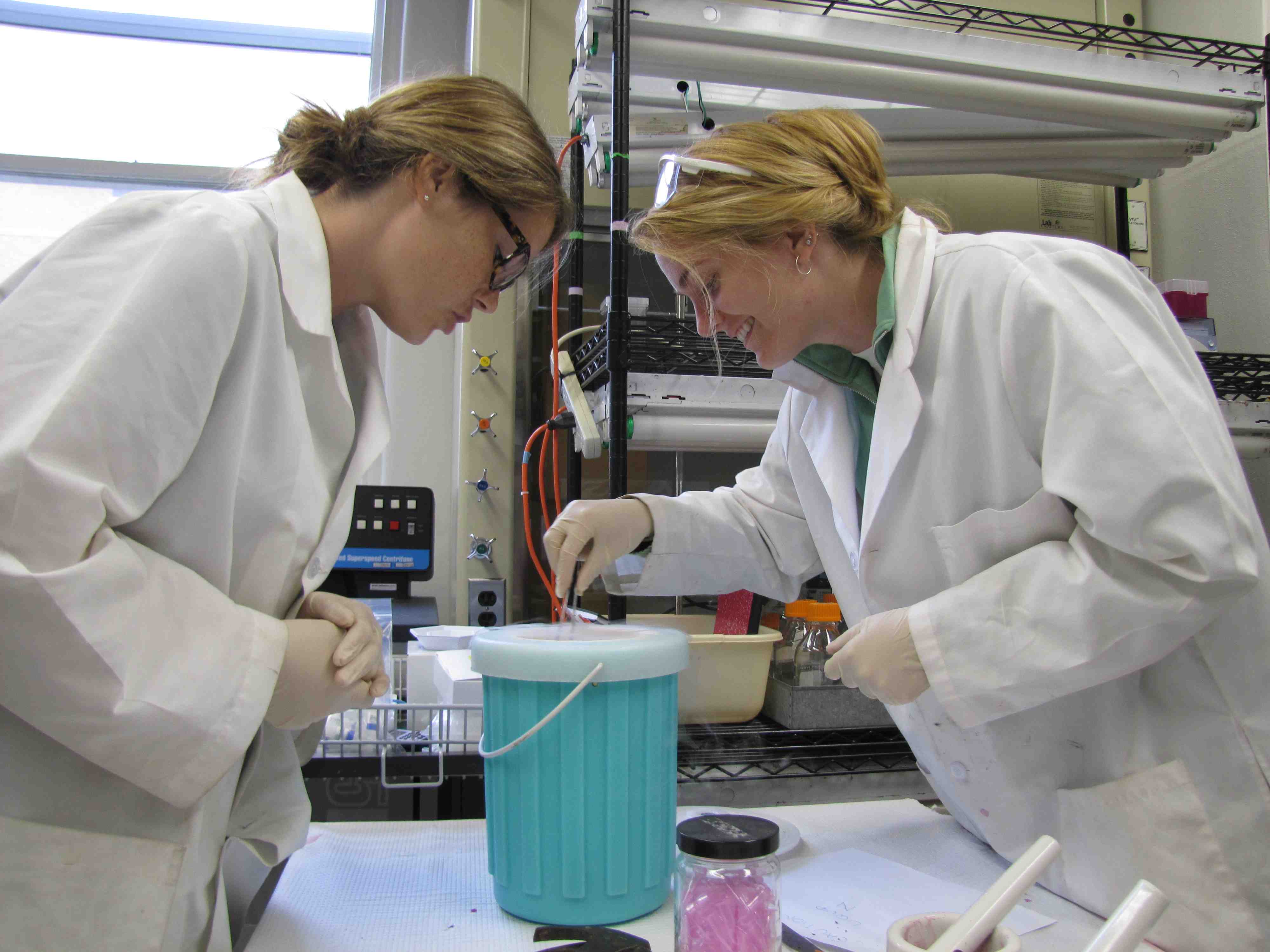 EllieAmyGCMS – Goldman Lab