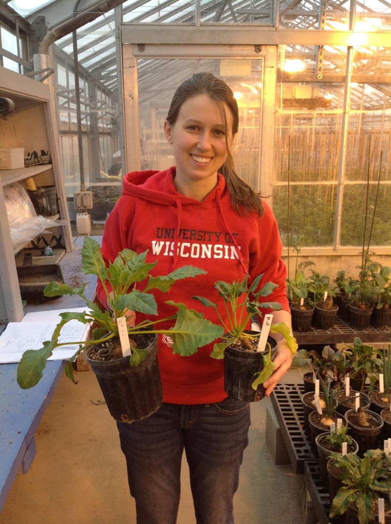 Lauren with in situ vern plants – Goldman Lab