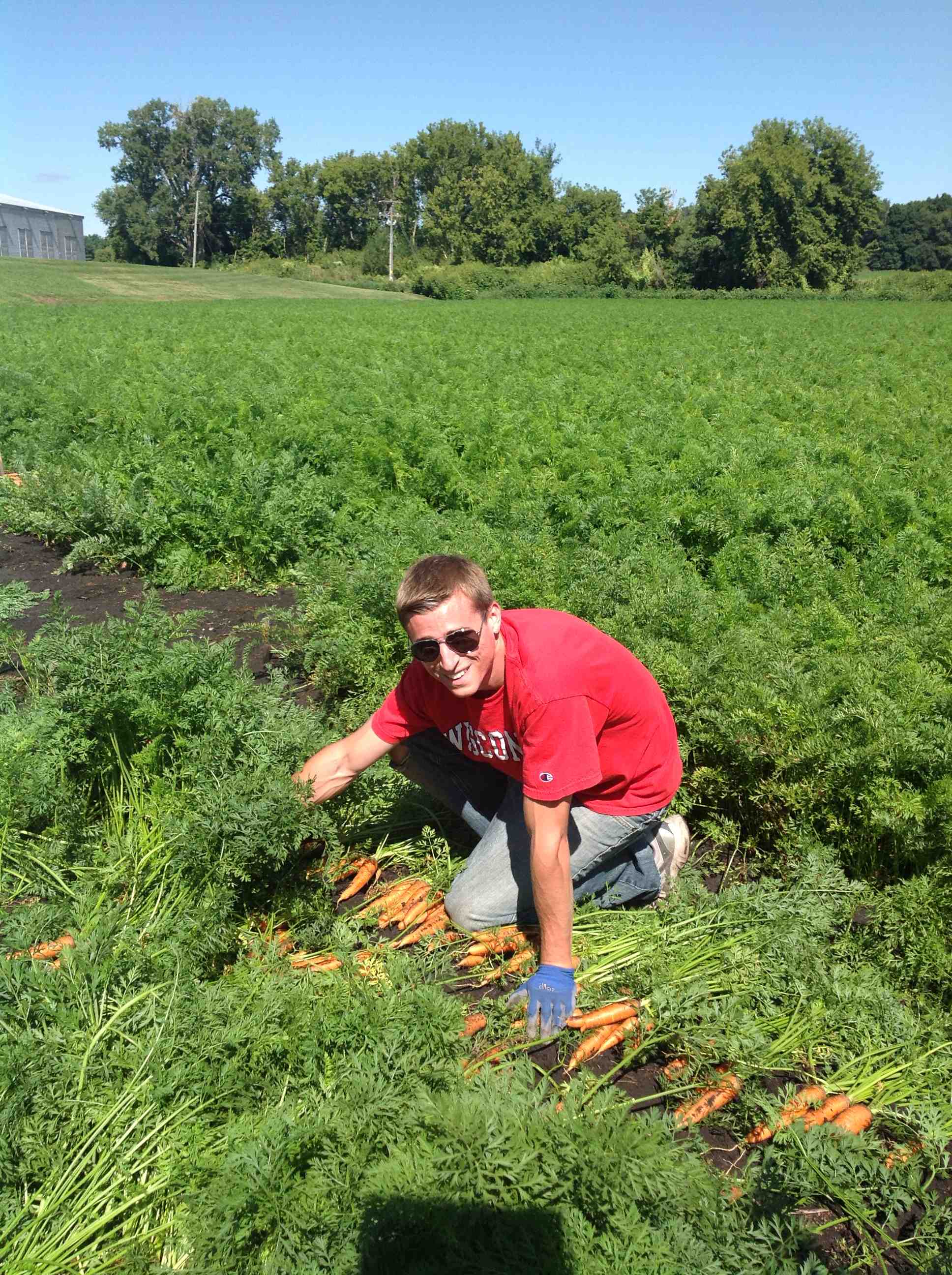 Ryan Alpers – Goldman Lab